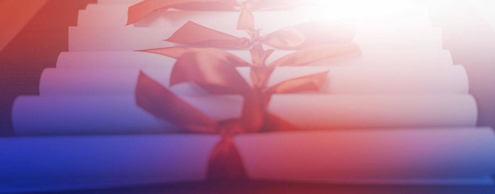 Graduate outcomes of former doctoral students | Centre Borelli