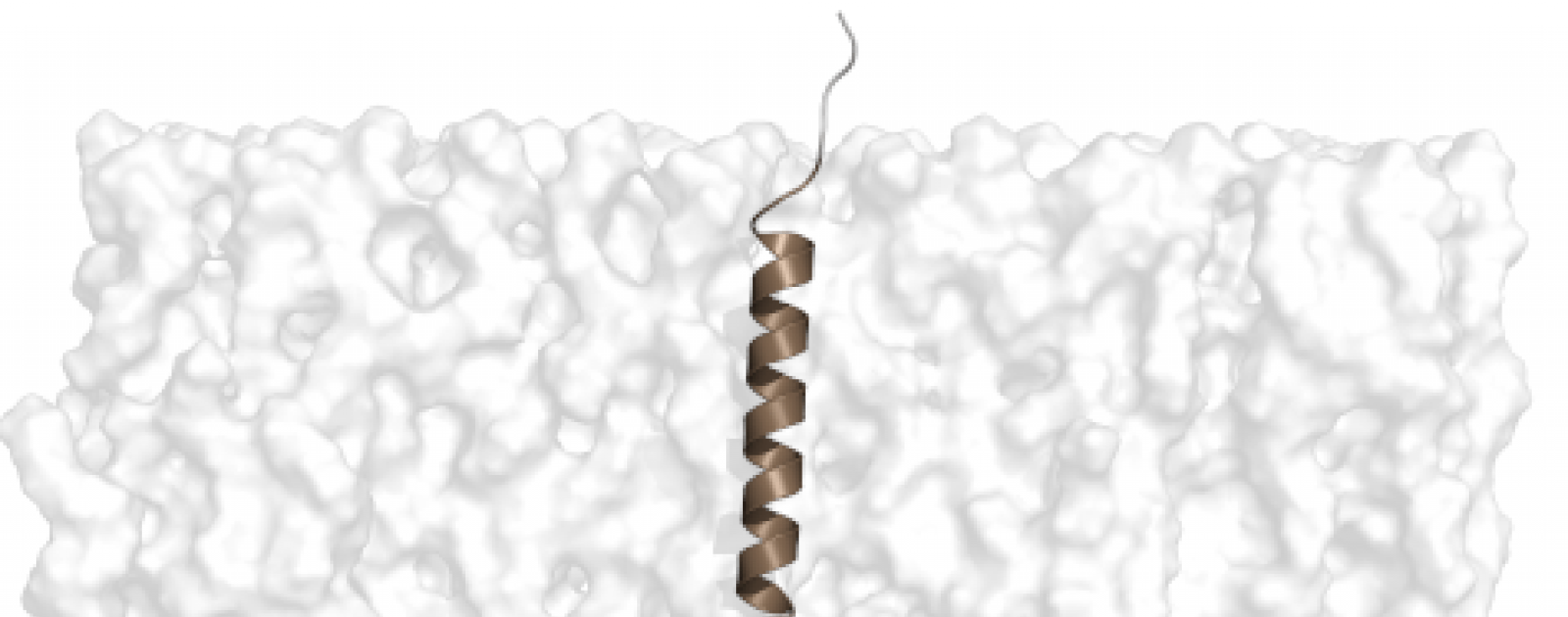 PhD defense of Julie LEDOUX | Centre Borelli