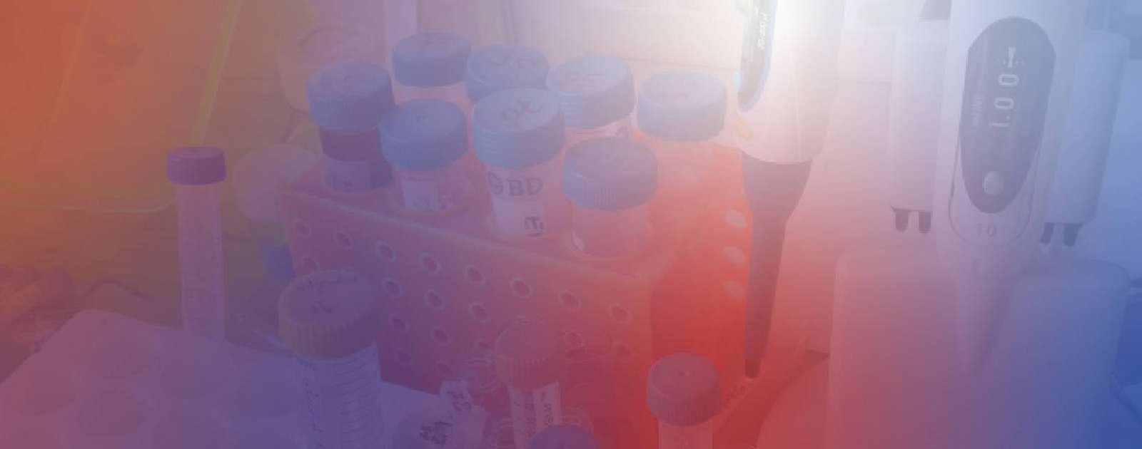 Mobilisation collective au moment de la crise du COVID-19 | Centre Borelli