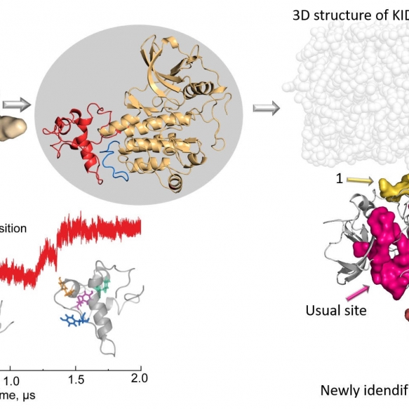 Home | Centre Borelli