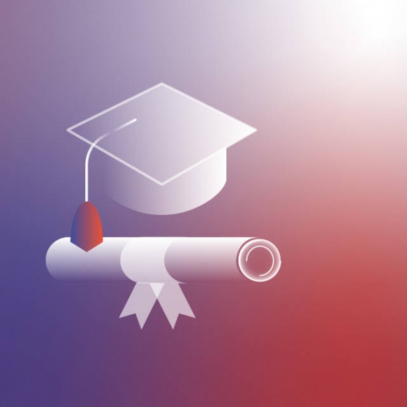 Home | Centre Borelli