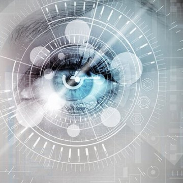 Home | Centre Borelli