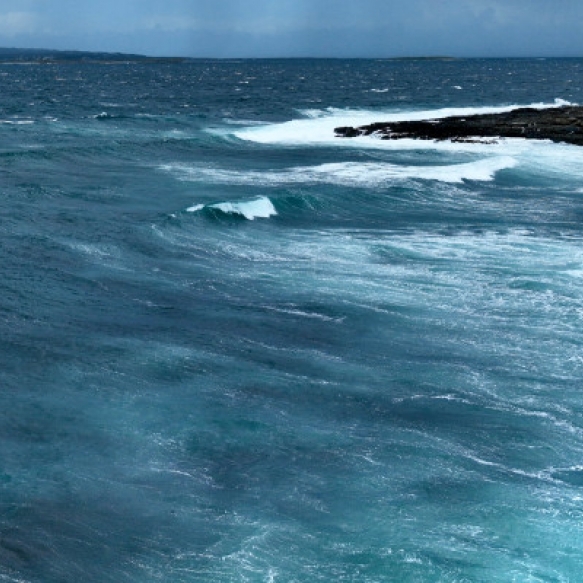 Home | Centre Borelli