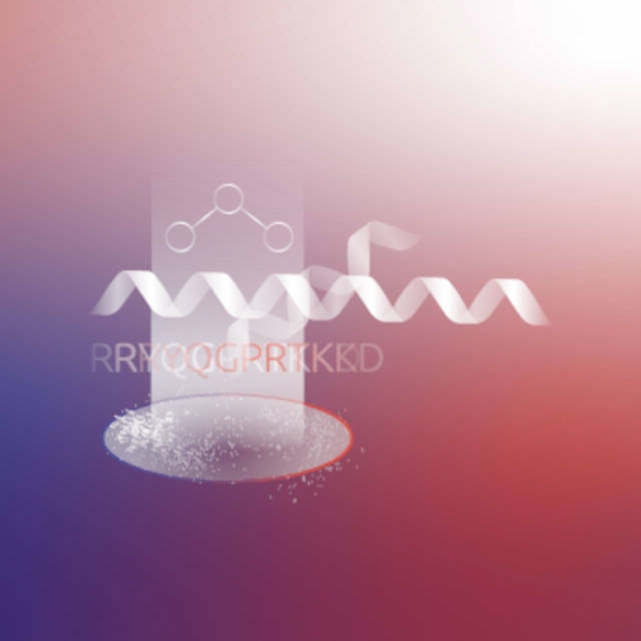 Home | Centre Borelli