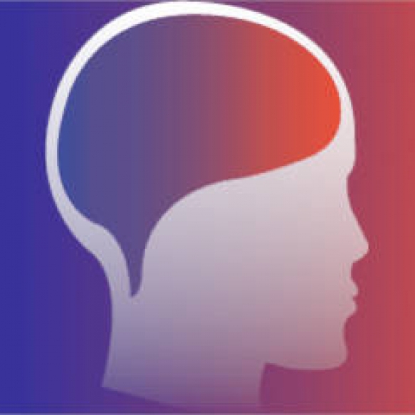 Home | Centre Borelli