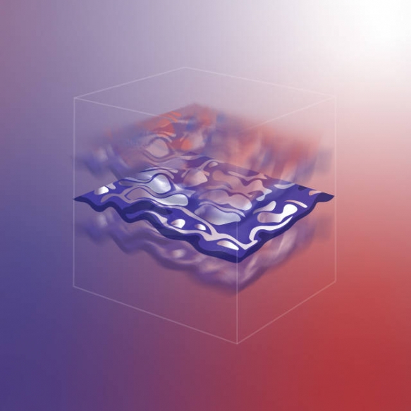 Home | Centre Borelli